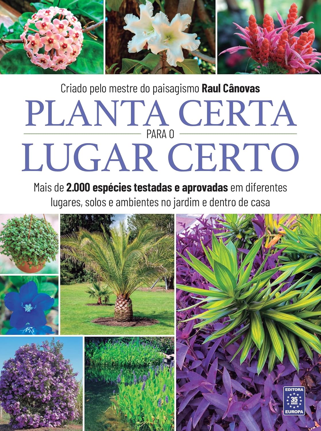 Planta Certa Para O Lugar Certo - Estante Para Plantas