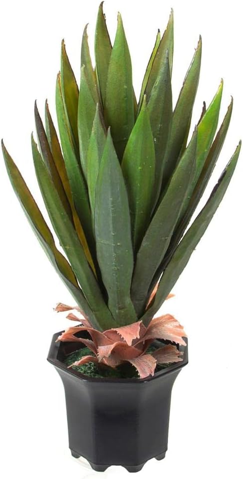 Planta Box Wood Artificial De Etna Verde 51cm - Estante Para Plantas