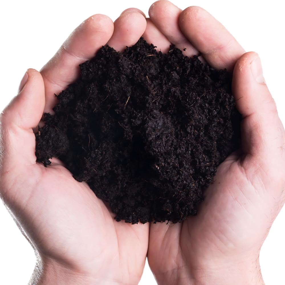 Terra Vegetal Pronta Para Plantio De Plantas Ecológico 2Kg - Estante ...